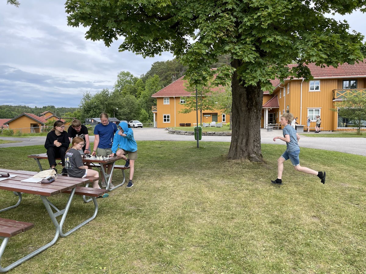 Sjakkforbundet | Sjakksommerleir 2023